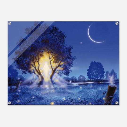 Midsummer Night 2 – Bilder vom Licht