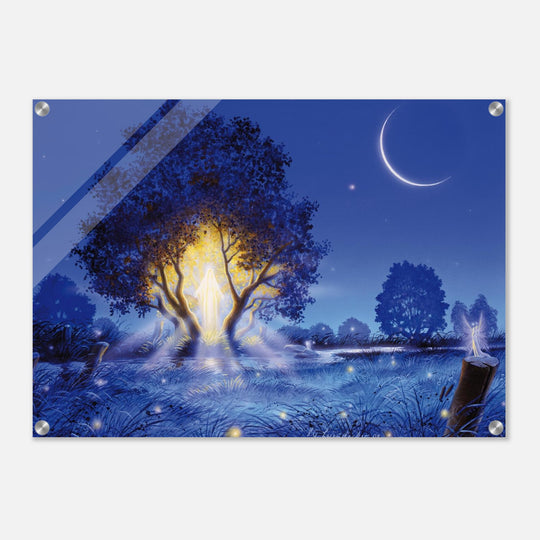 Midsummer Night 2 – Bilder vom Licht